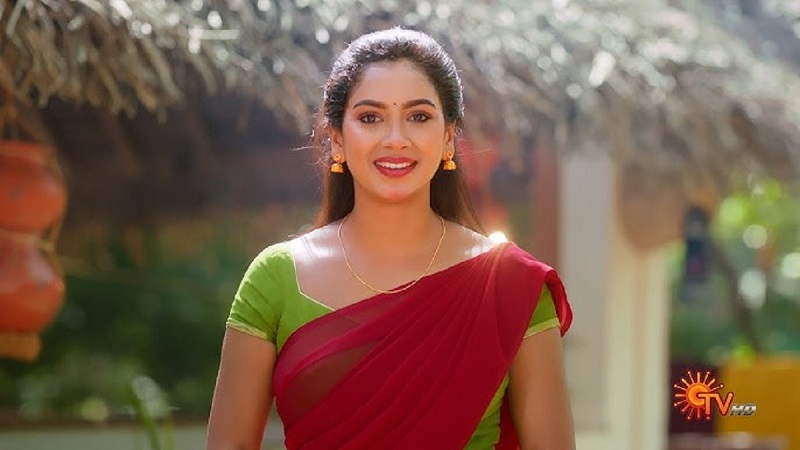 டிஆர்பியில் மாஸ் காட்டும் டாப் 10 சீரியல்கள், முழு விவரம் இதோ ...