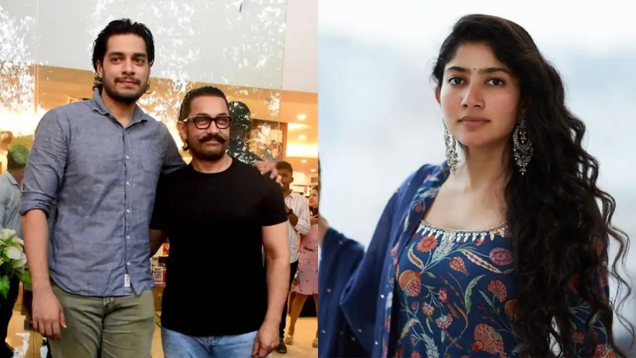 actress sai pallavi hindi movie updates